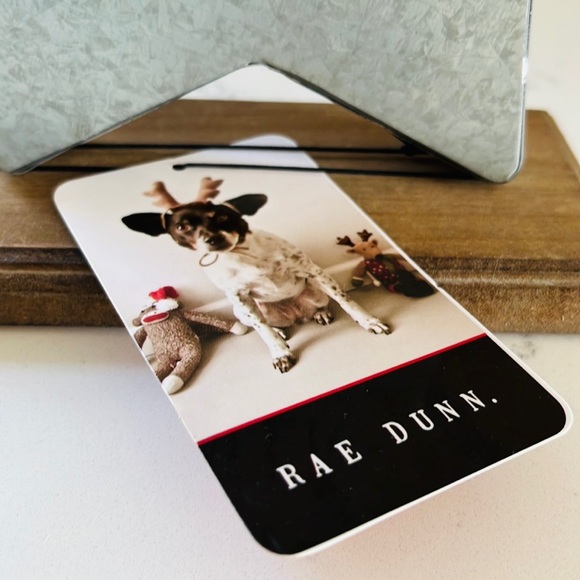 Rae Dunn | Accents | Rae Dunn Galvanized Metal Cheer Decorative Star ...